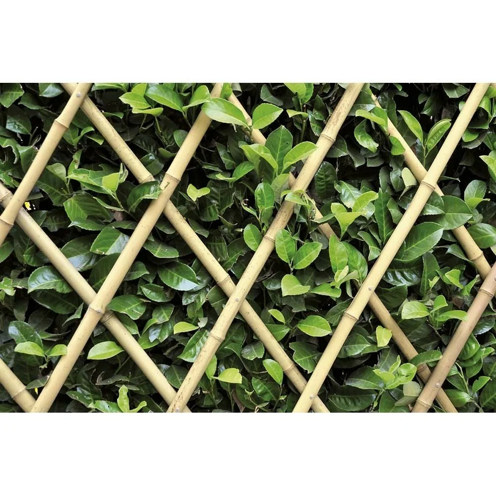 Treillis et Panneaux - Treillis Extensible en Bambou 180x45 cm ...